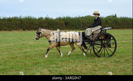 Carriage driving Gig with single horse and driver and passenger in ...