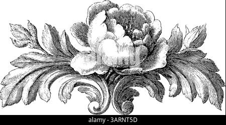 Baroque scepter design with ornate crow motif - regal and historical ...