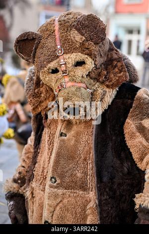 A performer dressed as a bear (Mechka) takes part in the Kukeri ...