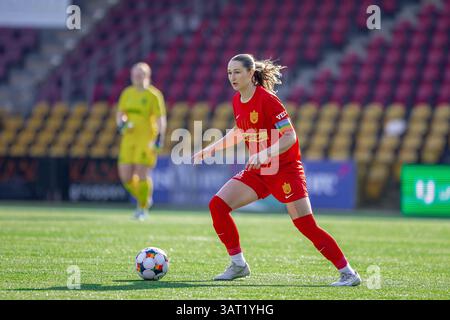 Farum, Denmark. 17th Apr, 2025. The players of FC Nordsjaelland seen in ...