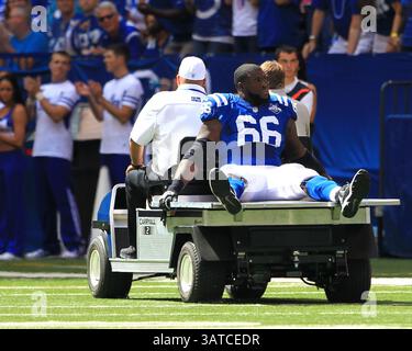 Miami Dolphins guard Donald Thomas (66) in action during an NFL ...