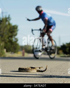 A cyclist makes their way on a road through the Experimental Farm in ...