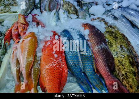 Saudi Arabia, Makkah Province, Jeddah, Central Fish Market Stock Photo ...
