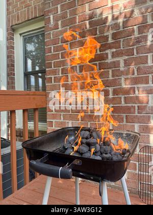 Firewood burning on a brazier. BBQ on the garden. Smoky bonfire. Fire ...