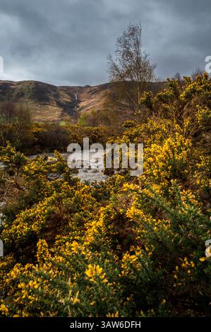 Glen Catacol river just before it enters Catacol Bay on the Island of ...