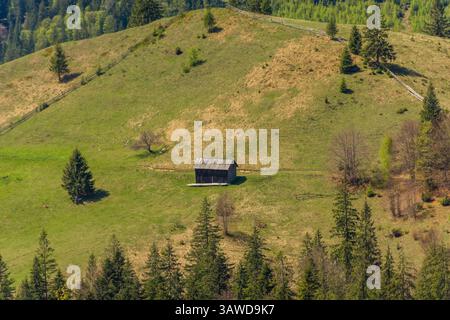 Wooden hut in the hills of Bucovina, at the border between Ukraine and ...