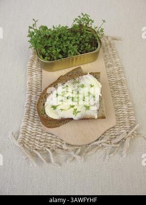 butter bread with cress sprouts in the fish can Stock Photo - Alamy