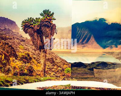 Conceptual collage art of an imperfect landscape Stock Photo - Alamy