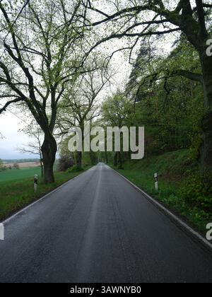 Uckermark GER, Deutschland, 20250420,Uckermark, Landschaftsaufnahme ...