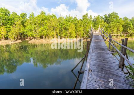 A bamboo walkway and bridge span a river leading into the mangrove ...