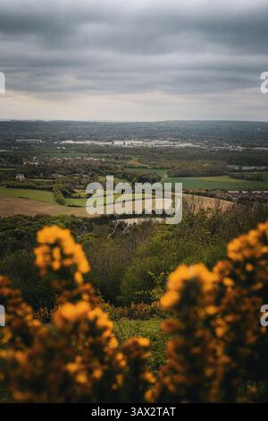 View over Maidstone and North Downs in Kent, England UK Stock Photo - Alamy