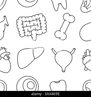 Human organs outline pattern. Internal organs anatomy. Vector ...