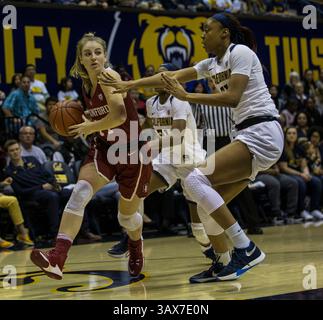 Stanford guard Karlie Samuelson (44) dribbles around Hawaii center ...