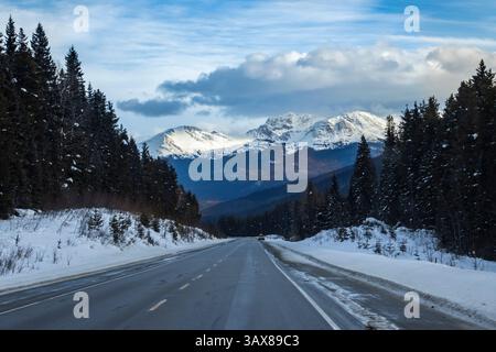 A road with snow on both sides stretches through a forest. The sun ...