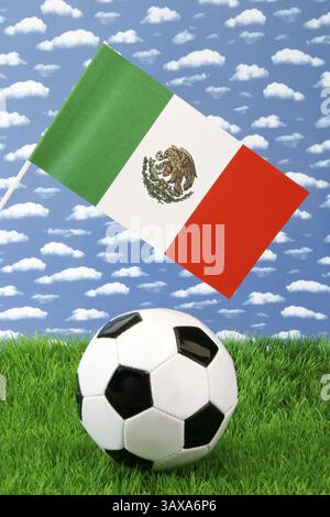 A Mexican national soccer team fan watching the FIFA World Cup Group H ...