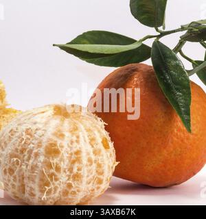 Peeled Tangerine on white background Stock Photo - Alamy