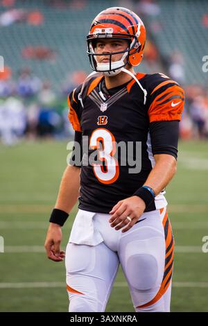 Cincinnati Bengals quarterback Keith Wenning (3) during the second half ...