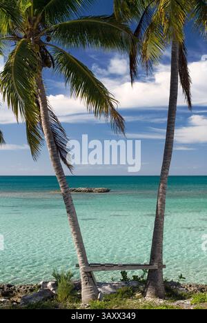 Beach at Cat Island in Bahamas Stock Photo - Alamy