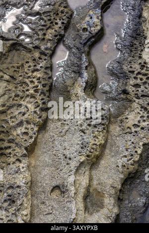 Afga Wave Rock Formation in Tangalan, Aklan, Philippines, showcases ...