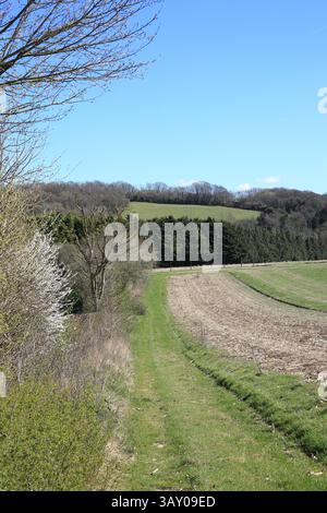 Footpath on field margin in the Kent Downs National Landscape near Pett Street, Wye, Ashford ...