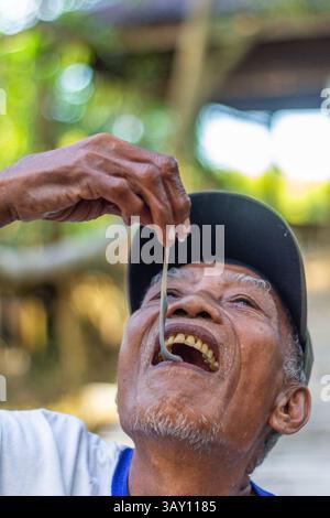 An old Filipino man eats woodworm, a unique mollusc delicacy, at ...