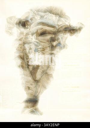 A detailed topographic map showcasing rugged terrain, winding rivers ...