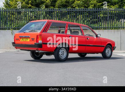 1982 Peugeot 505 estate classic French car Stock Photo - Alamy