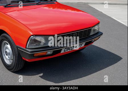 1982 Peugeot 505 estate classic French car Stock Photo - Alamy