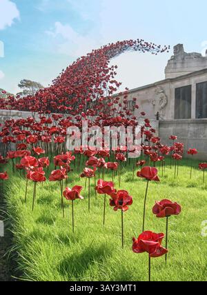 Poppies in the Tower of London for the 80th Anniversary of VE Day ...