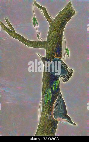 Two birds perched on the tree branches near lake Eloa Orlando in ...