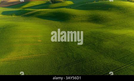 scenic view of moravia’s iconic wavy hills in spring Stock Photo - Alamy