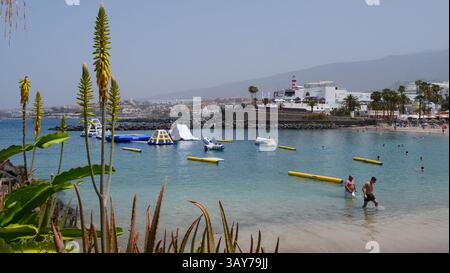Playa de la Pinta beach at Costa Adeje, Tenerife Stock Photo - Alamy