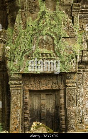 Bas-reliefs at Ta Prohm jungle temple in Angkor, Cambodia Stock Photo ...