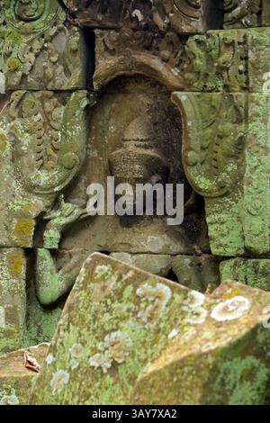 Bas-reliefs at Ta Prohm jungle temple in Angkor, Cambodia Stock Photo ...