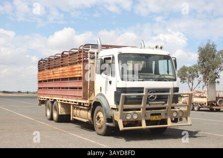 Old Classic Australian trucks Stock Photo - Alamy