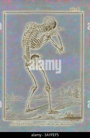 A detailed illustration of a human skeleton, showcasing the anatomical ...