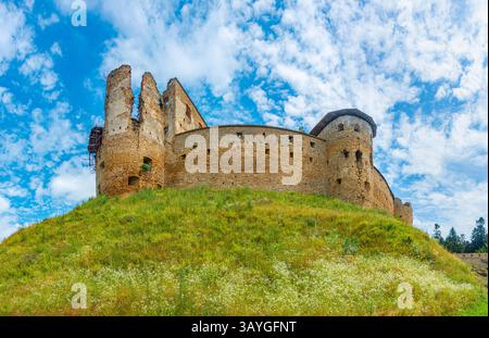 Ruins of medieval castle Zborov, Slovakia Stock Photo - Alamy