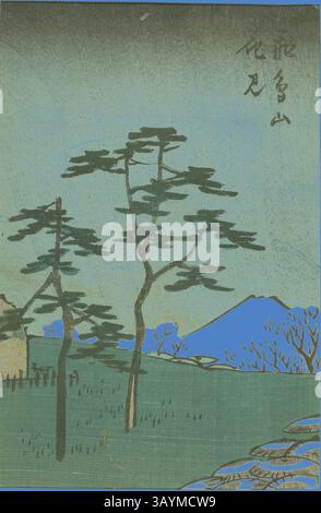 tall pine trees silhouetted in front of pastel clouds and sun Stock ...