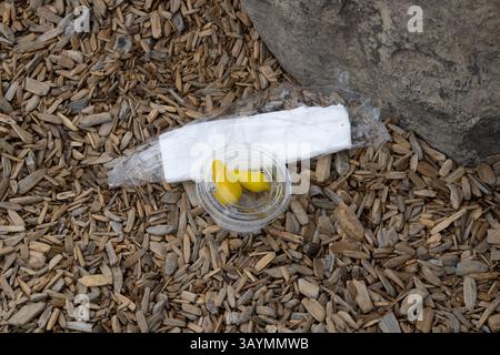 yellow pepper condiment in takeout container Stock Photo - Alamy