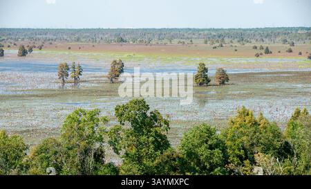 Sheldon Lake State Park in Texas Stock Photo - Alamy