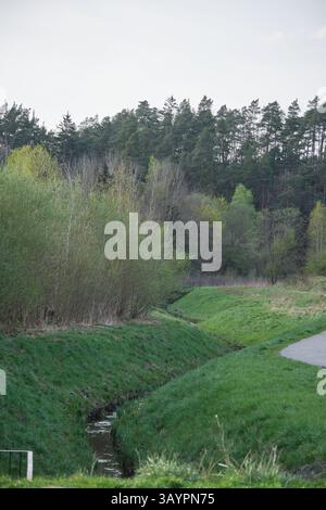 A small stream surrounded by grass and trees in summer Stock Photo - Alamy