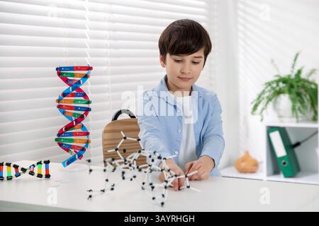 Boy making DNA structure model at desk indoors Stock Photo - Alamy