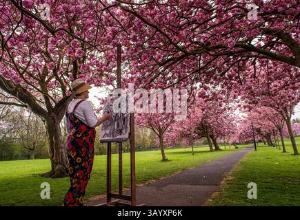 Harrogate, UK. 21st Apr, 2025. Local painter Kim Coley drawing and ...