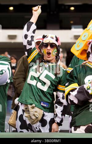Green Bay Packers fan in stands before a NFL football game against the ...