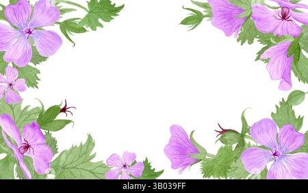 Rectangle frame with light purple geranium maculatum flowers and leaves ...