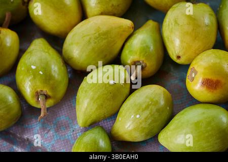 Close-up view of ripe Pouteria Campechiana fruit Stock Photo - Alamy
