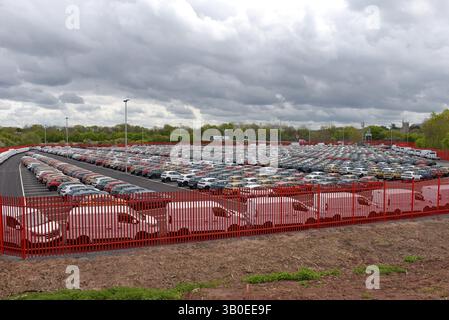 New Dacia cars in a secure storage compound at the Royal Portbury Docks ...