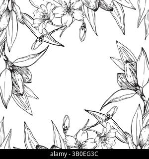 Almond frame vector illustrations hand drawn with ink Stock Vector ...