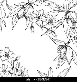 Almond frame vector illustrations hand drawn with ink Stock Vector ...