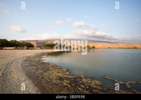 Mangrove on Shoab Beach Stock Photo - Alamy